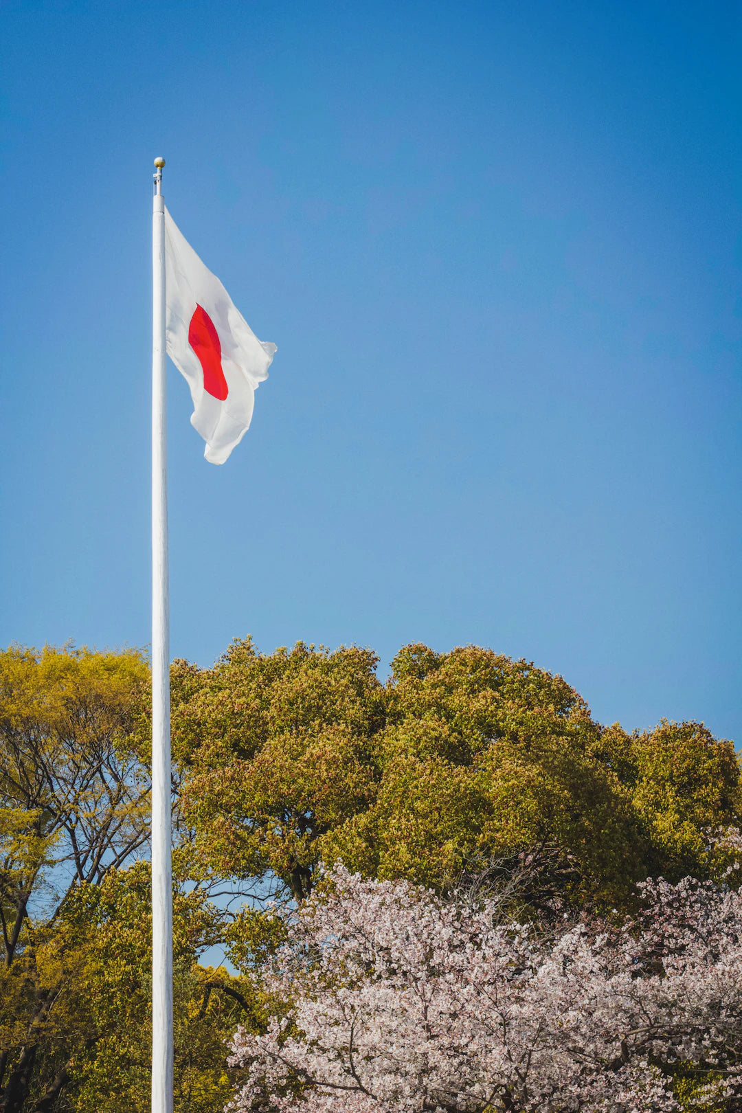 The Evolution of Golf Culture in Japan – Shams Golf Exchange